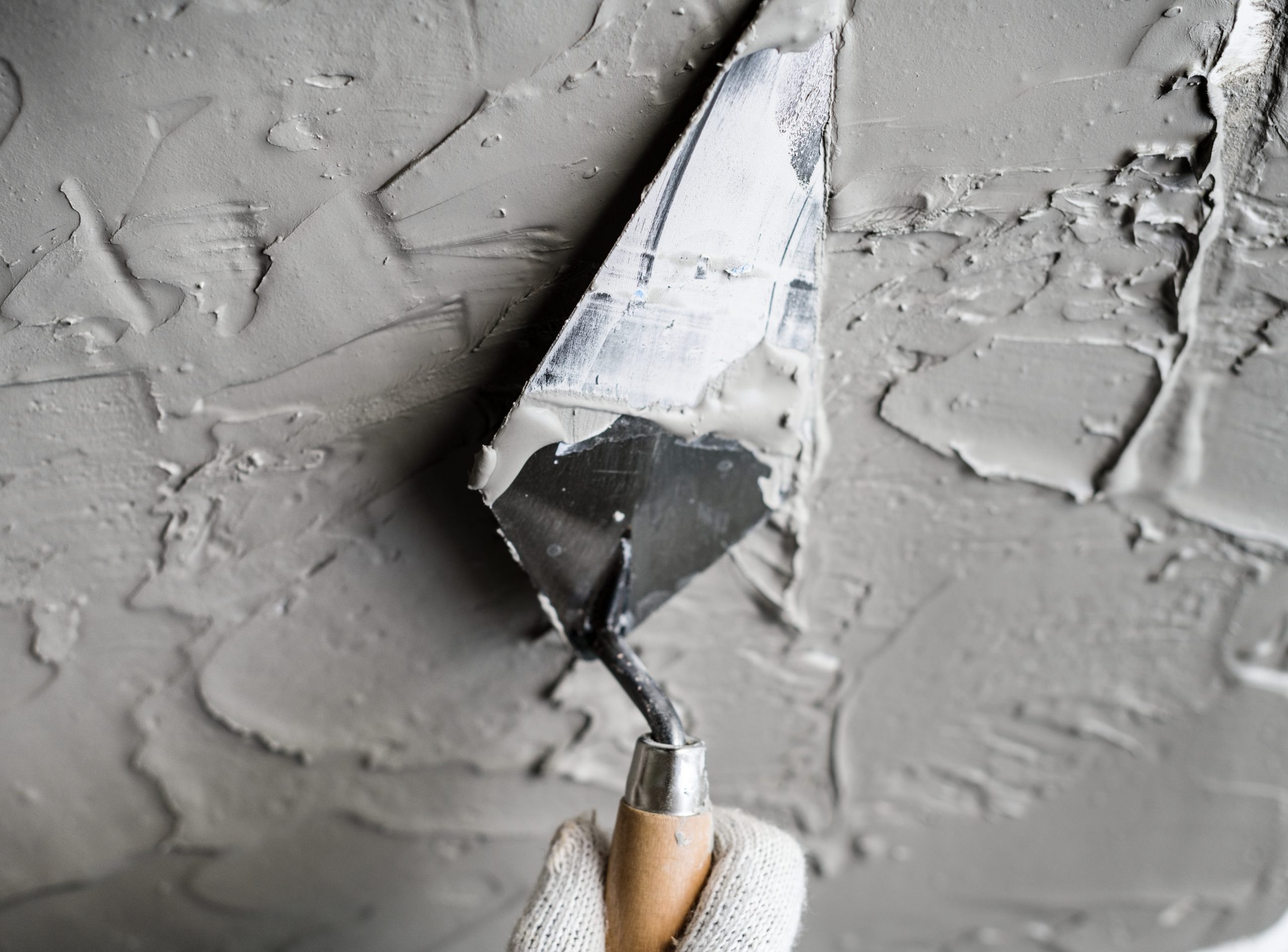 People renovating the house concept – Probuild Plastering & Construction